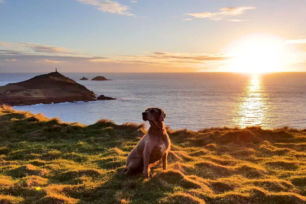 Dog Friendly Beaches in West Cornwall - The Cornish Way Guide